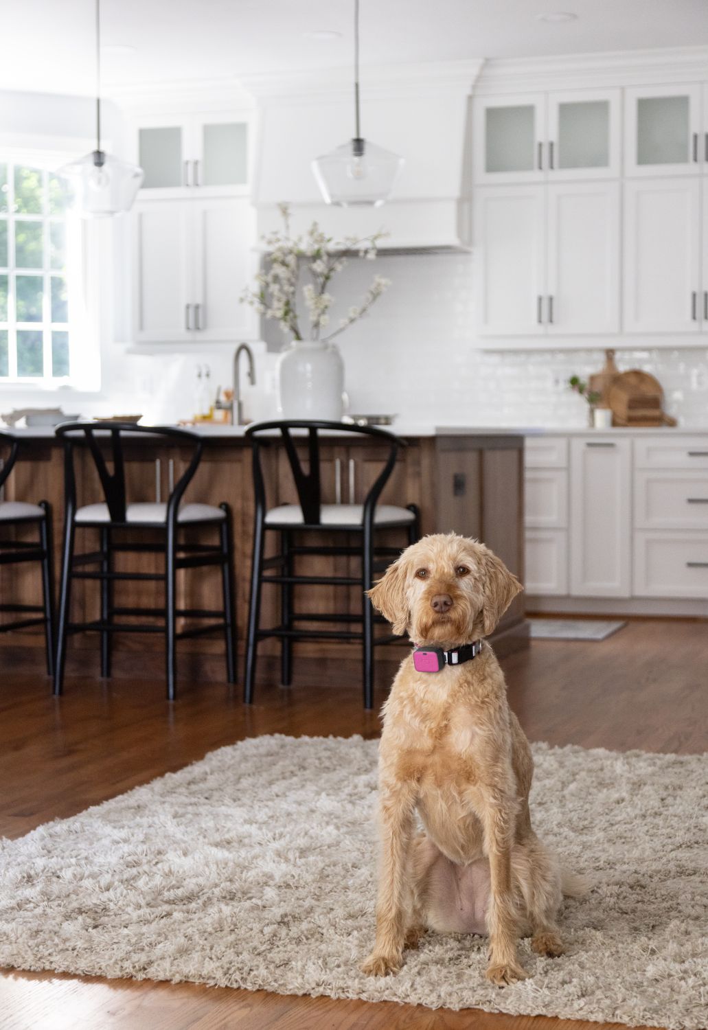 Kitchens - MAC Design + Build